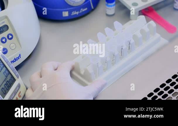 Sample preparation - extraction of DNA from blood samples in a laminar ...