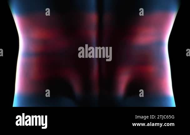 Back Pain spinal spine close-up animation Anatomy Body 3D Scan render ...