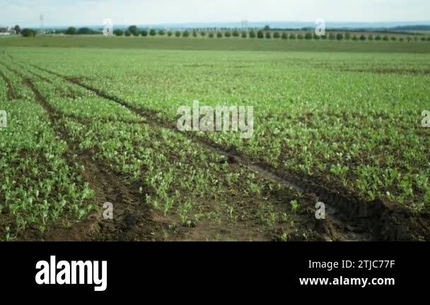 Fields erosion damage soil hole pit inappropriately managed soil earth ...