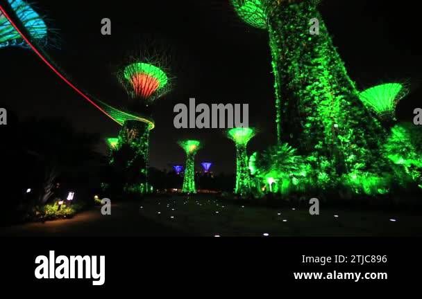 Supertree Grove light show at Gardens by the Bay in Singapore Stock ...