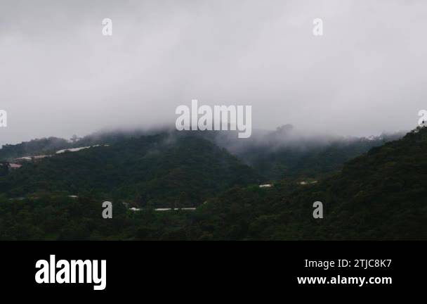 Cloud floating over a village and mountain. Misty fog blowing over tree ...