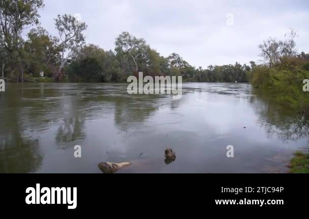 Albury wodonga australia Stock Videos & Footage - HD and 4K Video Clips ...