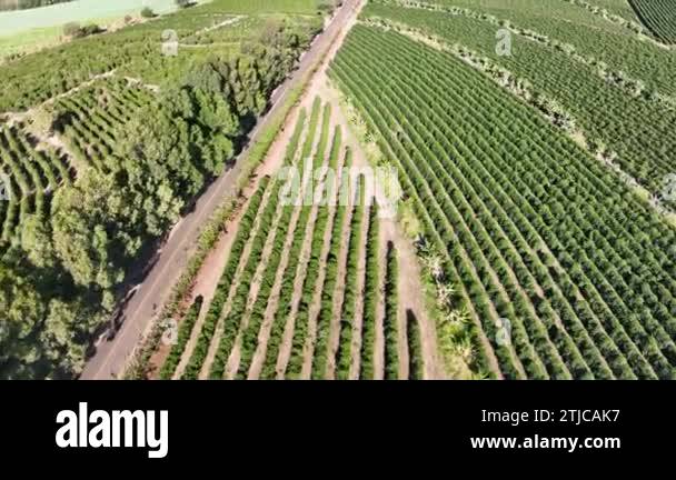 Farmland rural landscape. Farming scenery. Harvest time at rural life ...