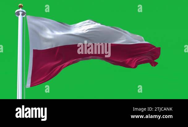 The national flag of Poland waving isolated on a green background. Two ...