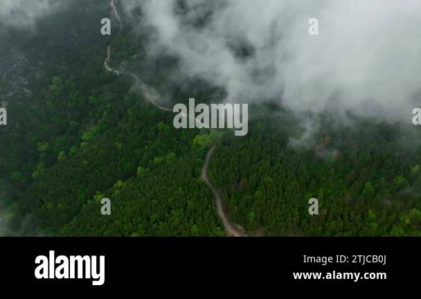 Enshrouded forest landscape Stock Videos & Footage - HD and 4K Video ...