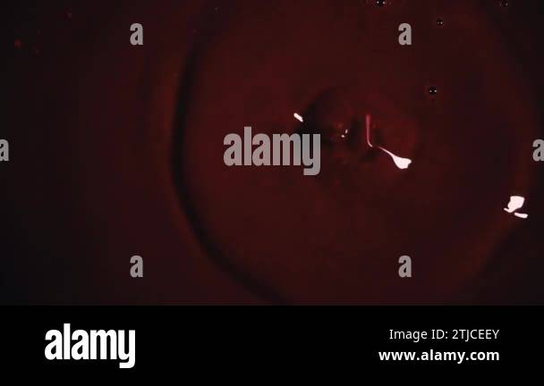 Drops of red blood drip into a puddle of blood close-up. Bloody mess. Terrible bleeding. Crimson ...