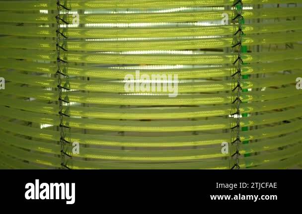 Algae science reactor tubular, research pipe hose modern laboratory ...