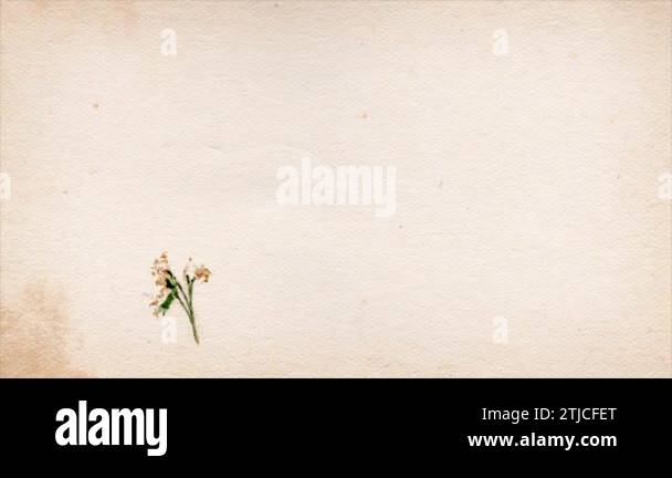 Vintage Postcard With Ink Flower Reveal/ 4k animation of a retro ...