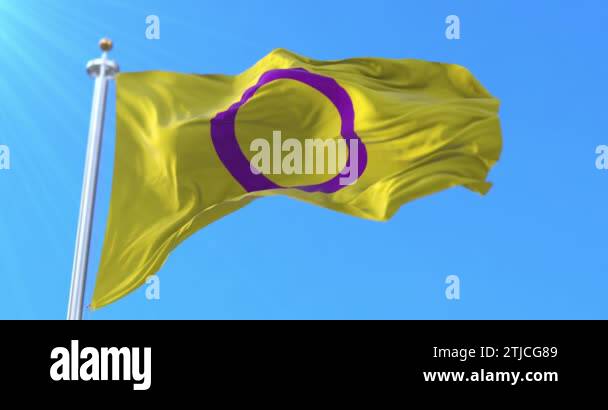 Intersex pride flag waving. Loop Stock Video Footage - Alamy