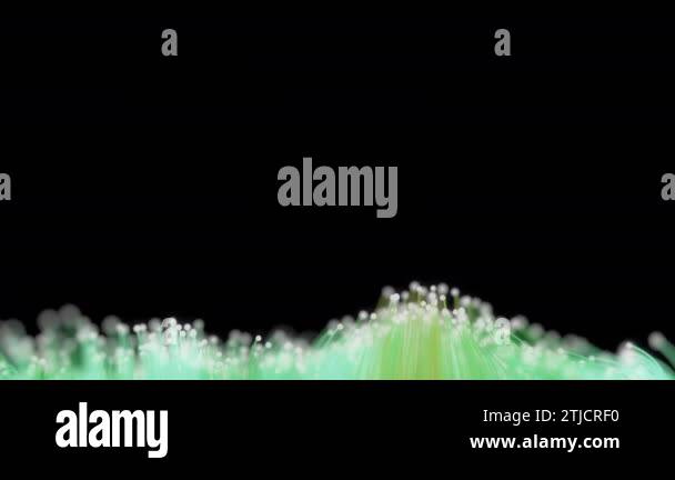 Fiber optic cable flowing across frame. 4K UHD animation Stock Video ...