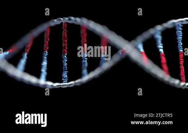 Rotating DNA chain - deoxyribonucleic acid on black black background ...