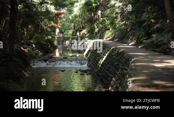 A small valley near the river in Todoroki Tokyo wide shot. High quality ...