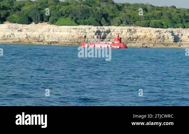 Submarine forest Stock Videos & Footage - HD and 4K Video Clips - Alamy