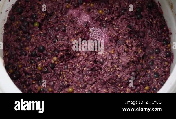 Fermentation grapes Stock Videos & Footage - HD and 4K Video Clips - Alamy