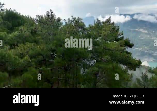 Allow natures embrace to surround you as the drone captures an awe ...