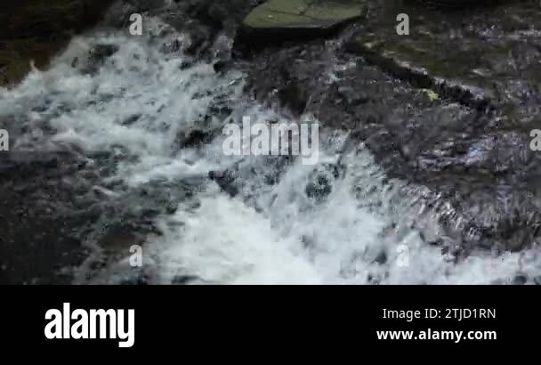 A river of Todoroki valley in Tokyo in summer telephoto shot. High ...