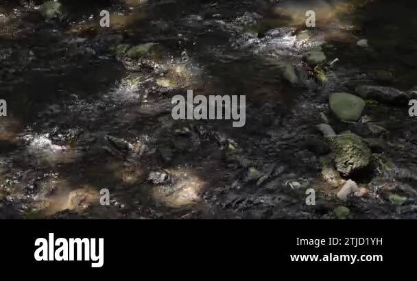 A river of Todoroki valley in Tokyo in summer telephoto shot. High ...