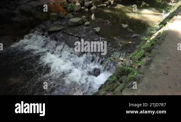A river of Todoroki valley in Tokyo in summer. High quality 4k footage ...