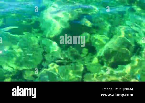 Green azure turquoise blue transparent sea salt water texture. Top view ...