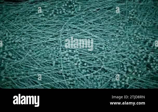 Network concept depicting data flow. 4K UHD animation Stock Video ...