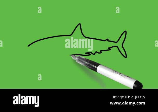 Draw carp fish aquatic animal in light and dark grey color combination ...