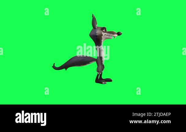 3D cartoon animation of a wolf on a green screen looking around and ...