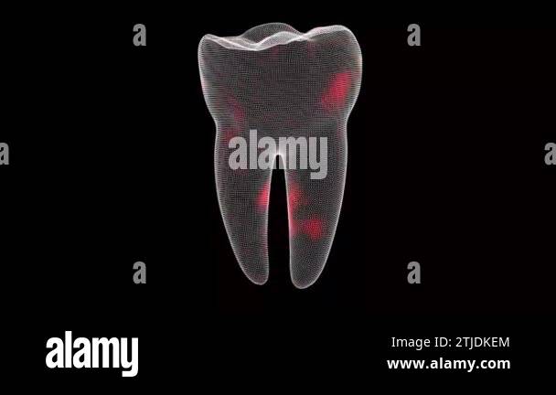 3D tooth rotating. Toothache Scanning Interface. HUD Tooth analyze ...