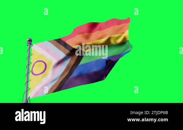 Lgbtq inclusion Stock Videos & Footage - HD and 4K Video Clips - Alamy