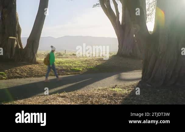 Moving in parallel Stock Videos & Footage - HD and 4K Video Clips - Alamy