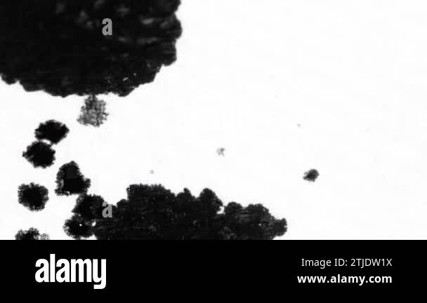 white smoke powder explosion fluid ink paint particles slow motion ...