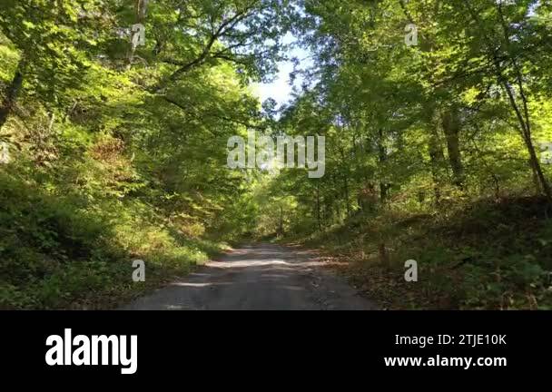 Slowly along a hiking trail in a beautiful deciduous forest in southern ...
