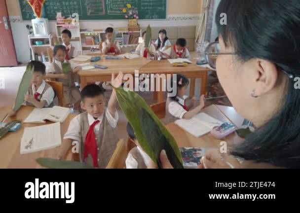 China school classroom Stock Videos & Footage - HD and 4K Video Clips ...