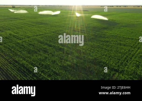 Above view with backlight, dolly move forward over irrigation system ... Above view with backlight, dolly move forward over irrigation system ...