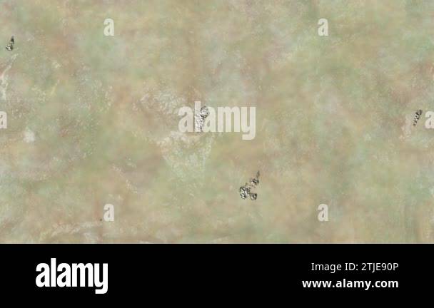 Erosion erosion of stone surface Stock Videos & Footage - HD and 4K ...