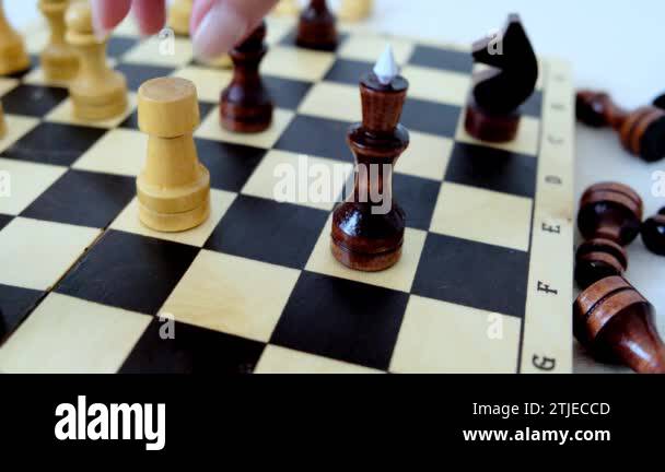 Chess lady Stock Videos & Footage - HD and 4K Video Clips - Alamy