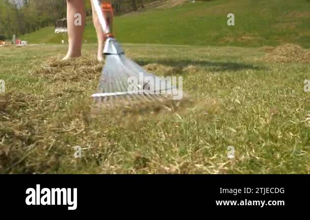 CLOSE UP: Young woman walking and raking piles of dry grass felts after ...