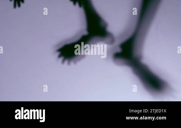 Ghost feet Stock Videos & Footage - HD and 4K Video Clips - Alamy