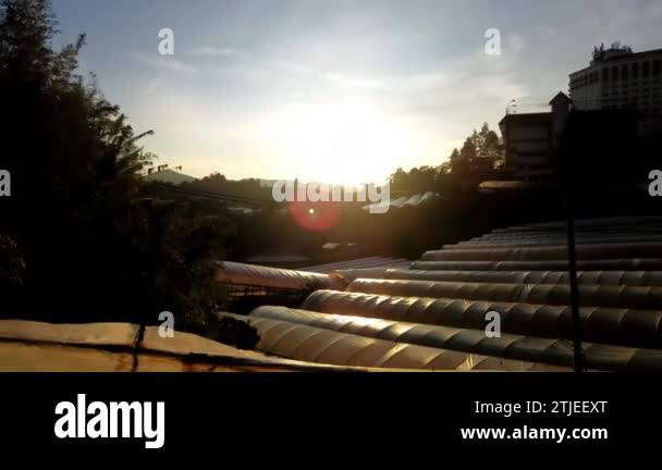 Ray cameron Stock Videos & Footage - HD and 4K Video Clips - Alamy