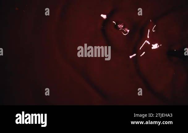 Drops of red blood drip into a puddle of blood close-up. Bloody mess. Terrible bleeding. Crimson ...