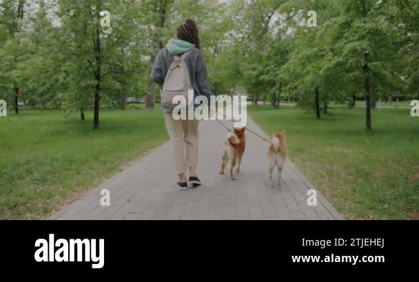 Animal walker Stock Videos & Footage - HD and 4K Video Clips - Alamy