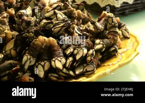 Saltwater barnacles Stock Videos & Footage - HD and 4K Video Clips - Alamy