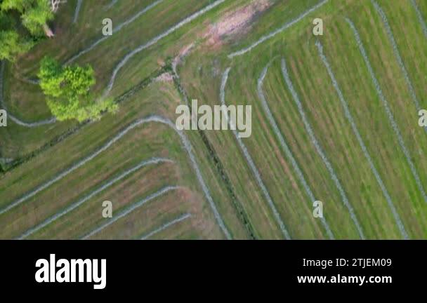 Overhead pattern land trees Stock Videos & Footage - HD and 4K Video ...