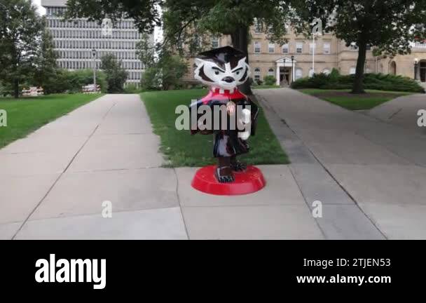 Bucky Badger mascot statue holding diploma on the campus of the ...