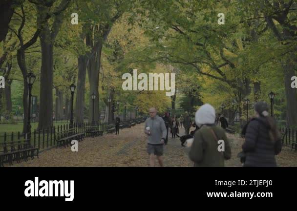 Fall Foliage Colors at Central Park - The Mall and Literary Walk ...