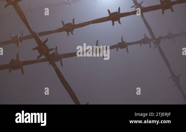 Wire fence background Stock Videos & Footage - HD and 4K Video Clips ...