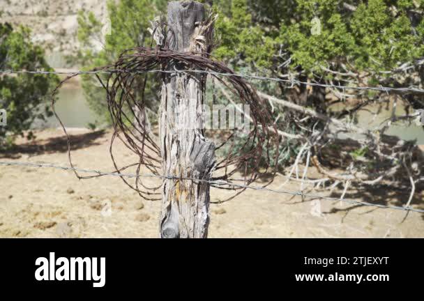 Barbed wire old wrapped Stock Videos & Footage - HD and 4K Video Clips ...