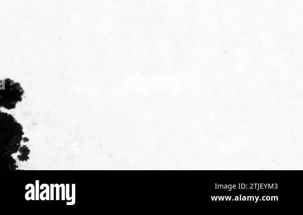 Ink blot splatter background Stock Videos & Footage - HD and 4K Video ...