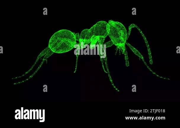 3D ant rotates on black background. Object made of shimmering particles ...