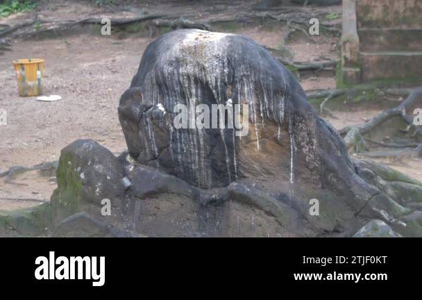 30th may 2023,osun osogbo Nigeria: Africa and yoruba gods and goddess ...