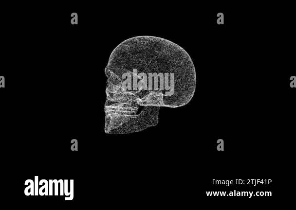 3D human skull rotates on black background. Object dissolved white ...